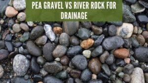 Is Pea Gravel Good for Drainage? Compare Alternatives
